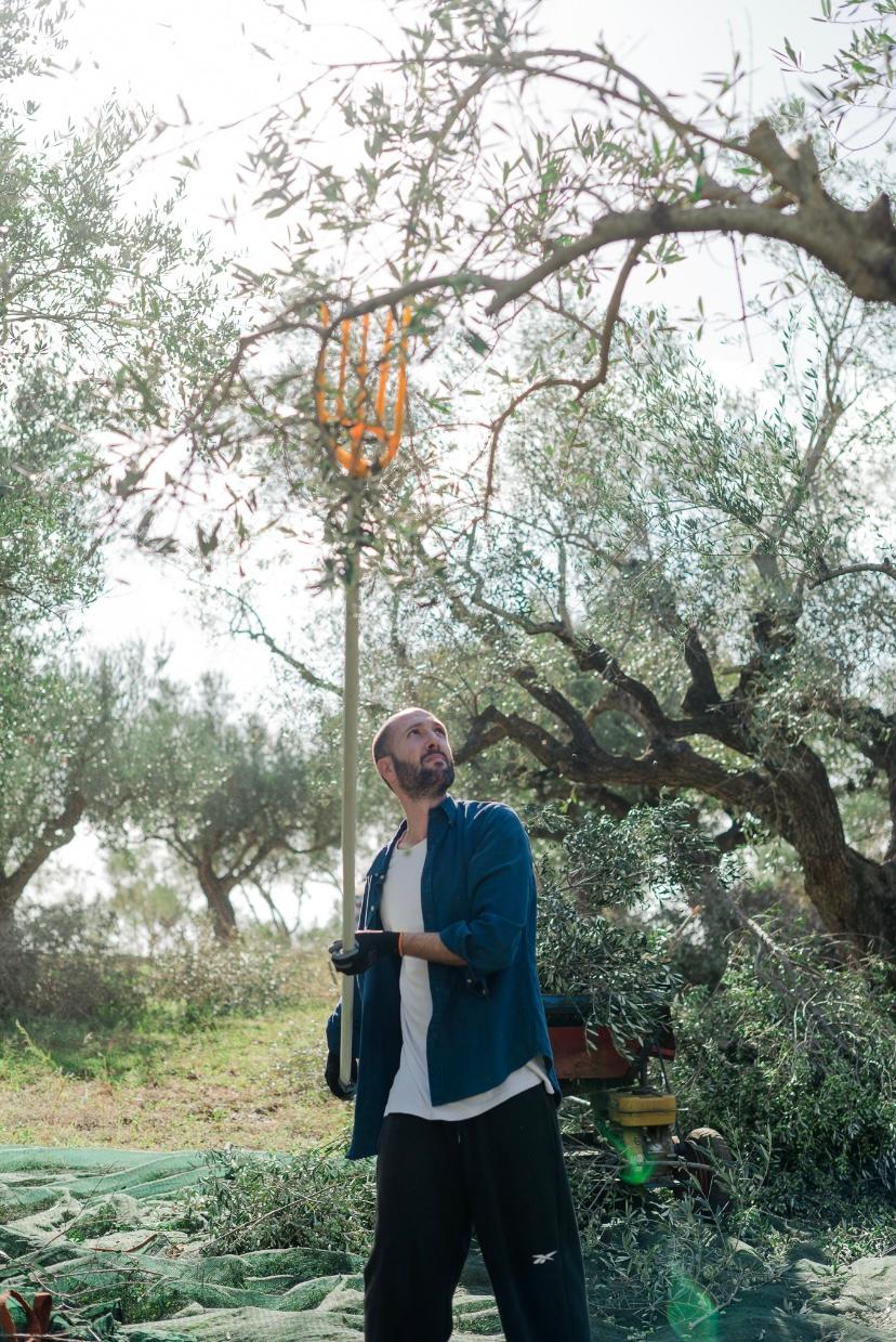 MONOGRAM: The Best Organic Extra Virgin Olive Oil from Greece